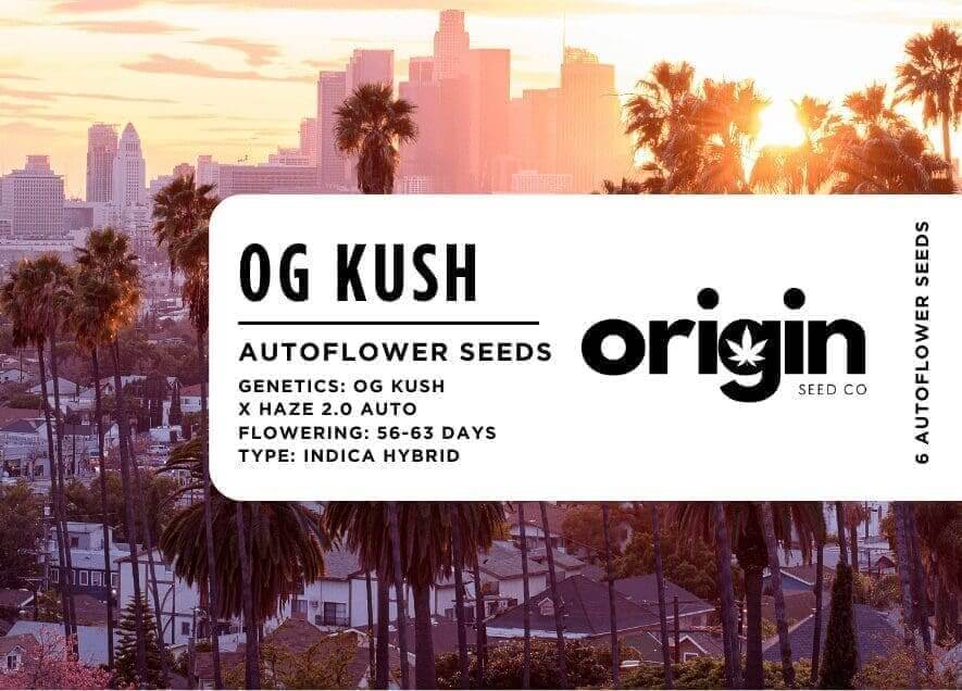 OG Kush Seeds | Seeds & Clones