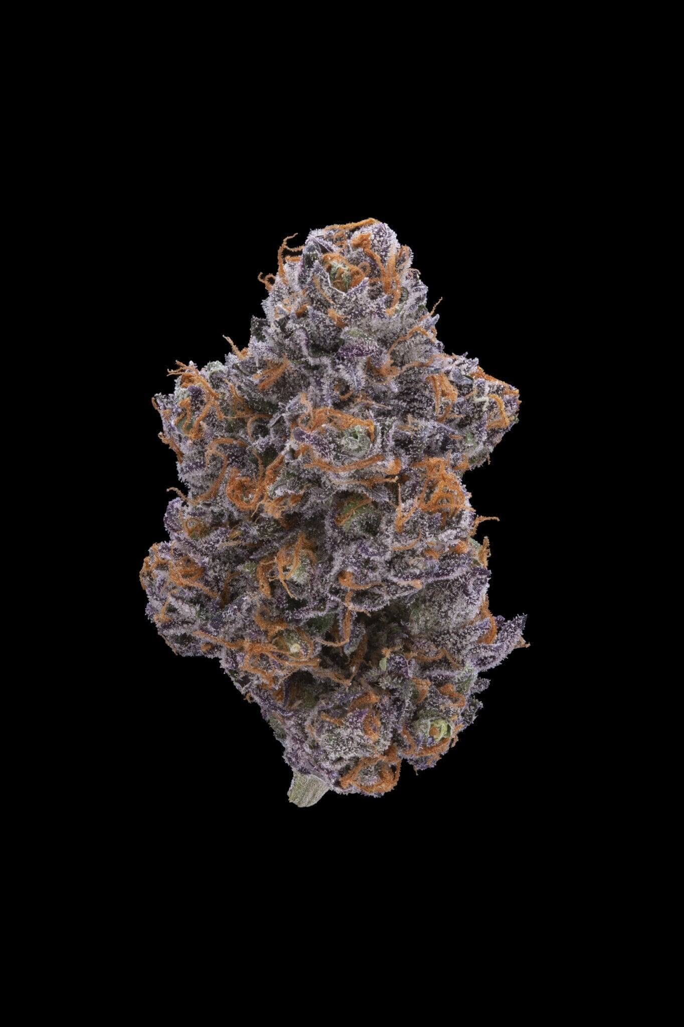 Gelato33 x Gushers Seeds - 70 Day Clone | Buds & Roses