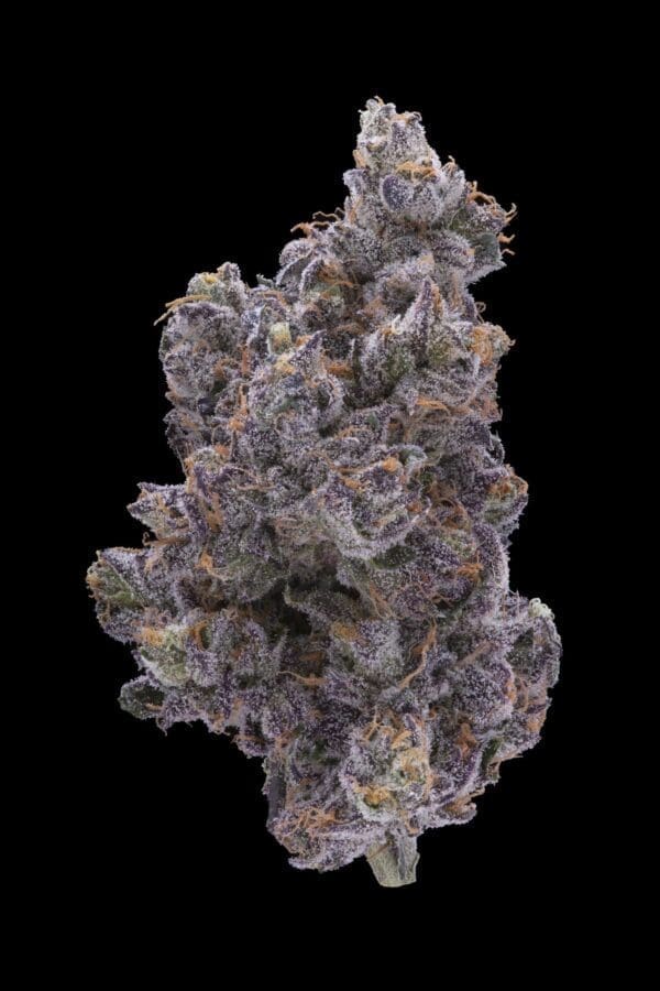 Legend OG x Platinum Cookies Seeds | Seeds & Clones