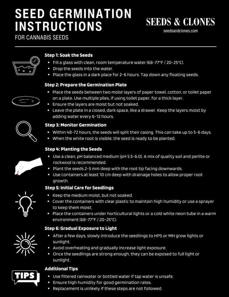 Seed Germination Instructions - Seeds & Clones Seed Germination Instructions - Seeds & Clones