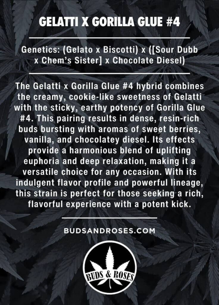 Gelatti x Gorilla Glue #4 Seeds - Creamy Terpenes | B&R