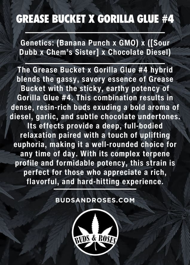 Grease Bucket x GG4 Seeds - Gorilla Series | Buds & Roses