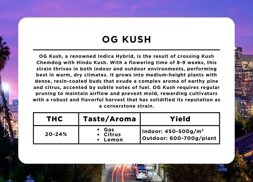 Buy Premium OG Kush Seeds Online | High-Quality Cannabis