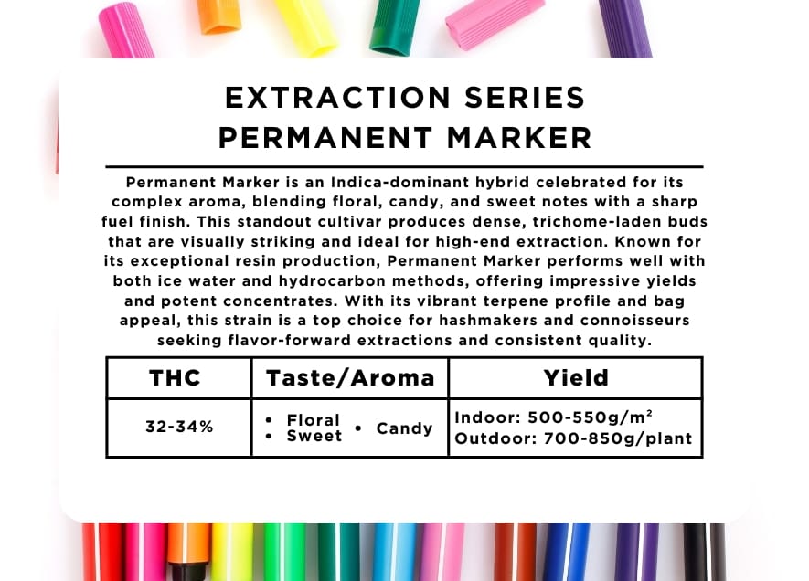 Permanent Marker Seeds - Bold Growth | Origin Seed Co