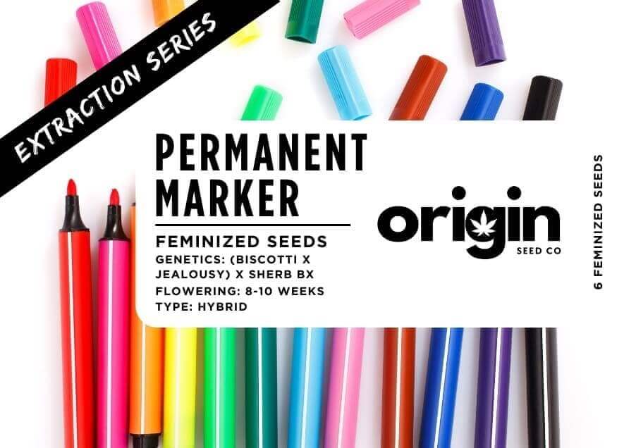 Permanent Marker Seeds - Bold Growth | Origin Seed Co