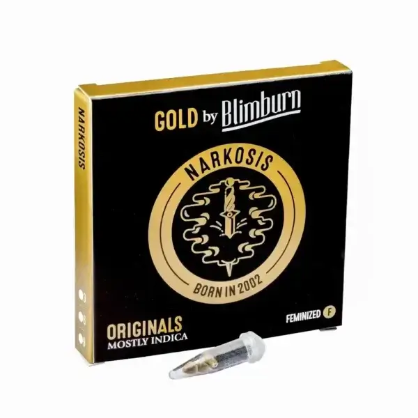 CBD Mamba Negra Seeds - 1:20 THC:CBD Ratio | Blimburn Seeds