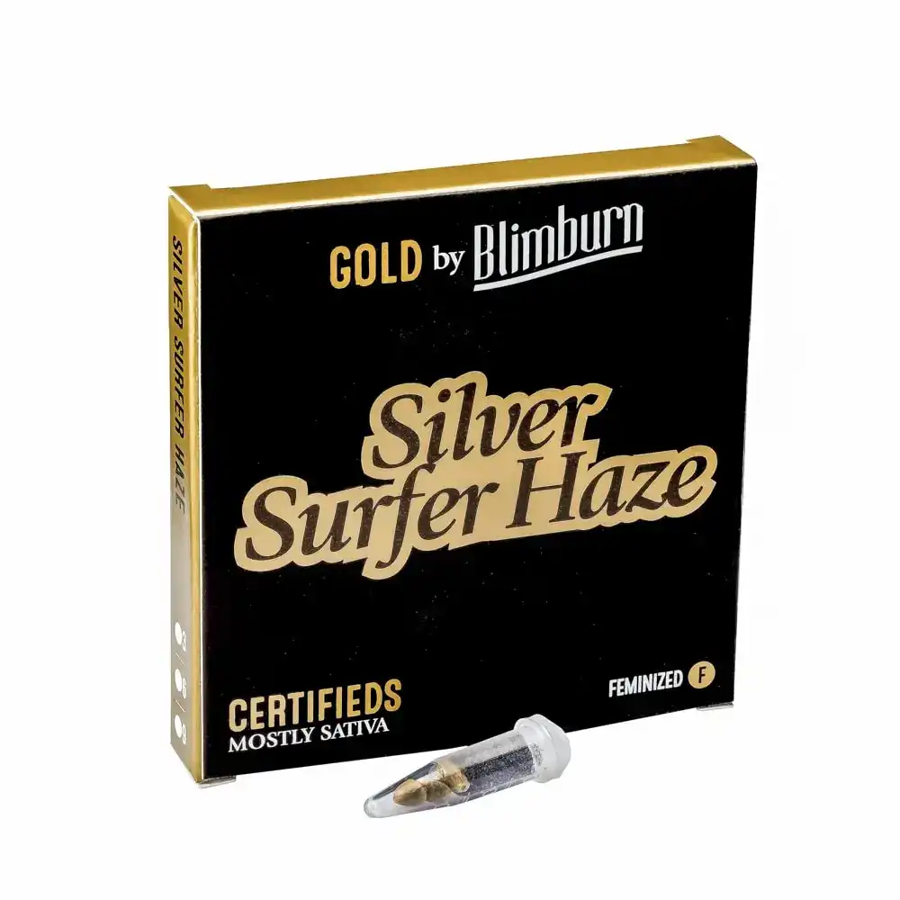 Silver Surfer Haze Seeds - Robust Genetics | Blimburn Seeds
