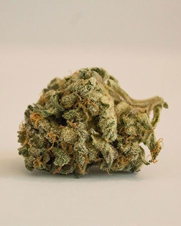 Obama Kush Seeds - Unique Indica/Sativa Genetics | Grower's Choice