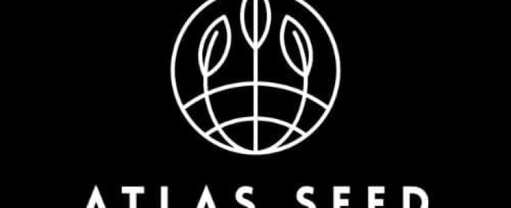 Atlas Seed - Full Term Seeds Mendocino Seeds - Shipped | Seeds & Clones