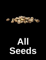Capulator Seeds - In Stock - Shipped | Seeds & Clones